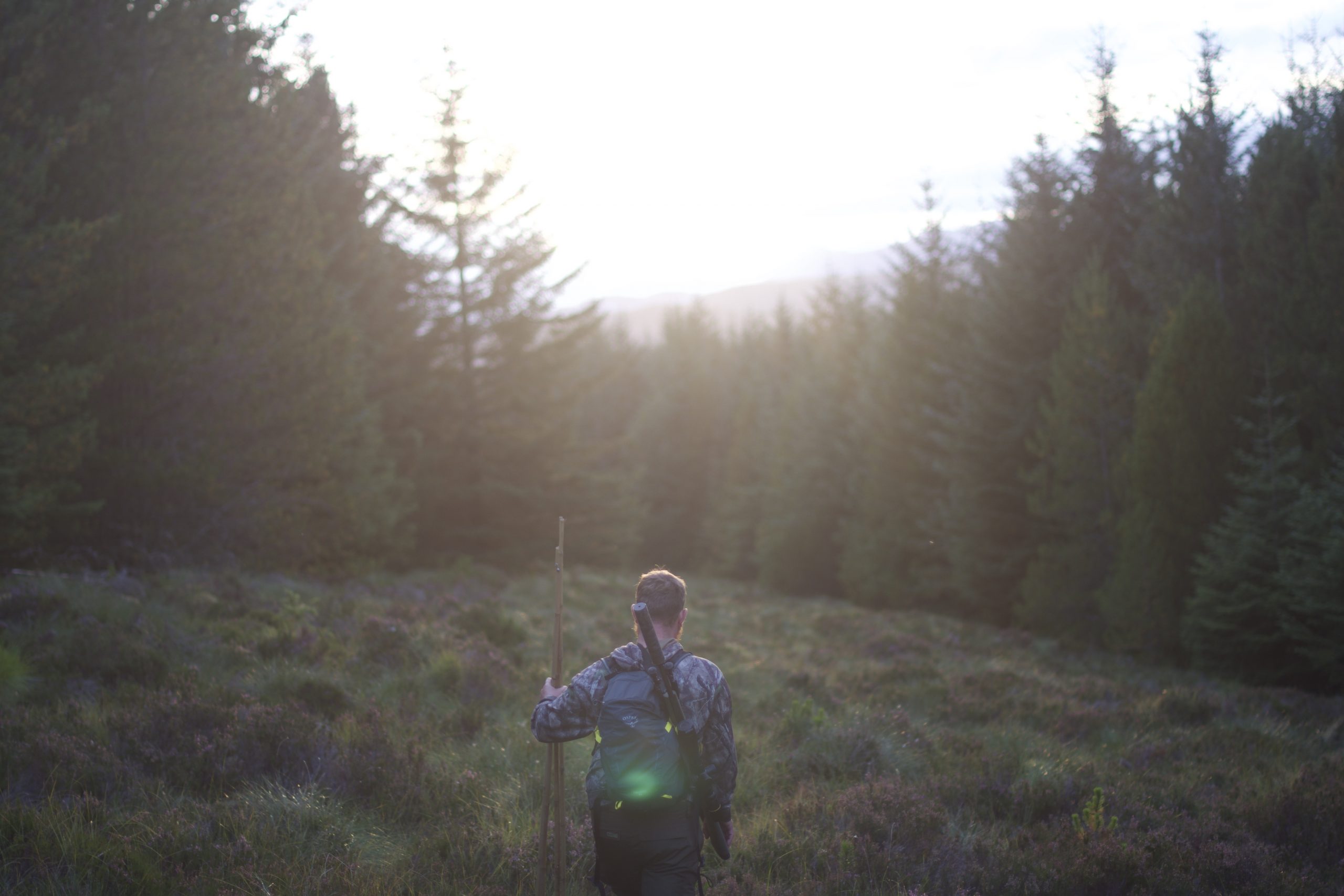 Red Deer Hunting and Stalking With Atlas Sporting