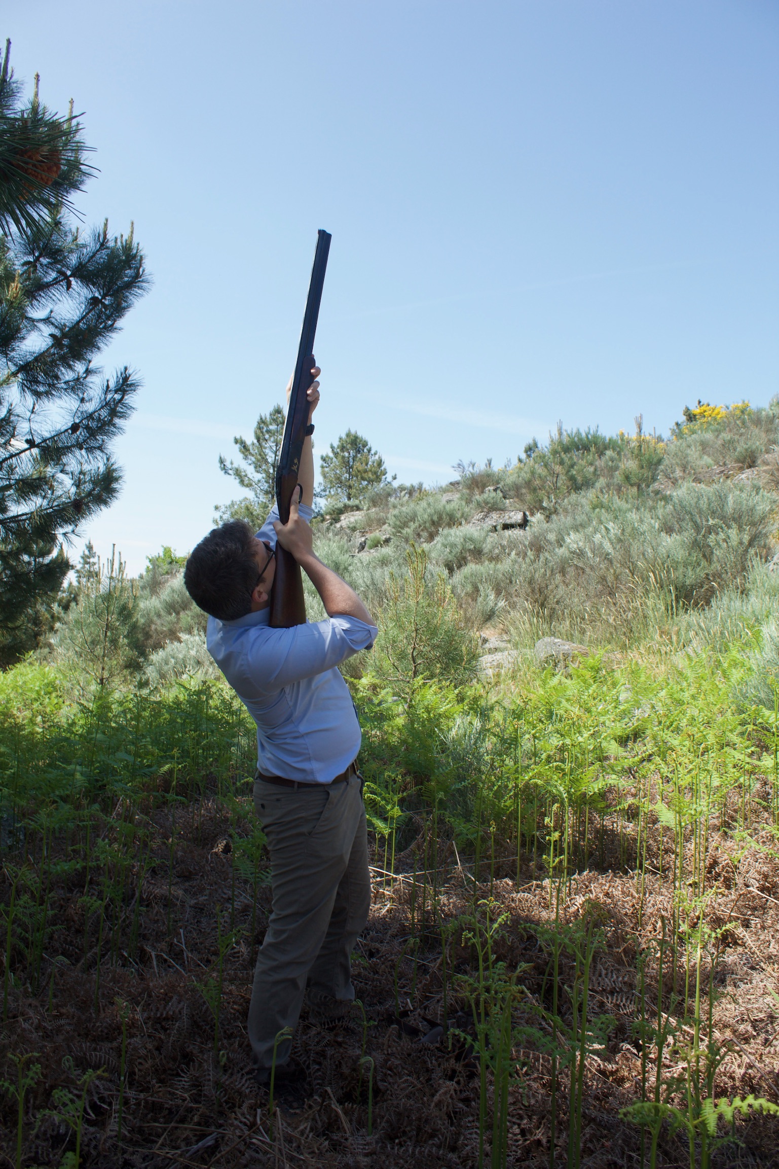 Driven Partridge Shooting In Portugal | Gesticaça | Atlas Sporting