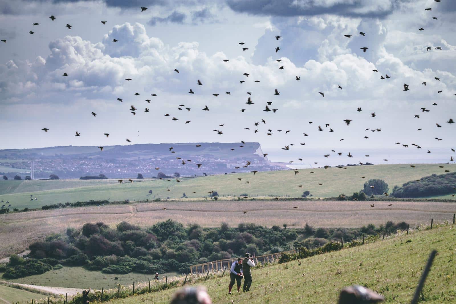 Partridge Shooting in Sussex - Iford Downs
